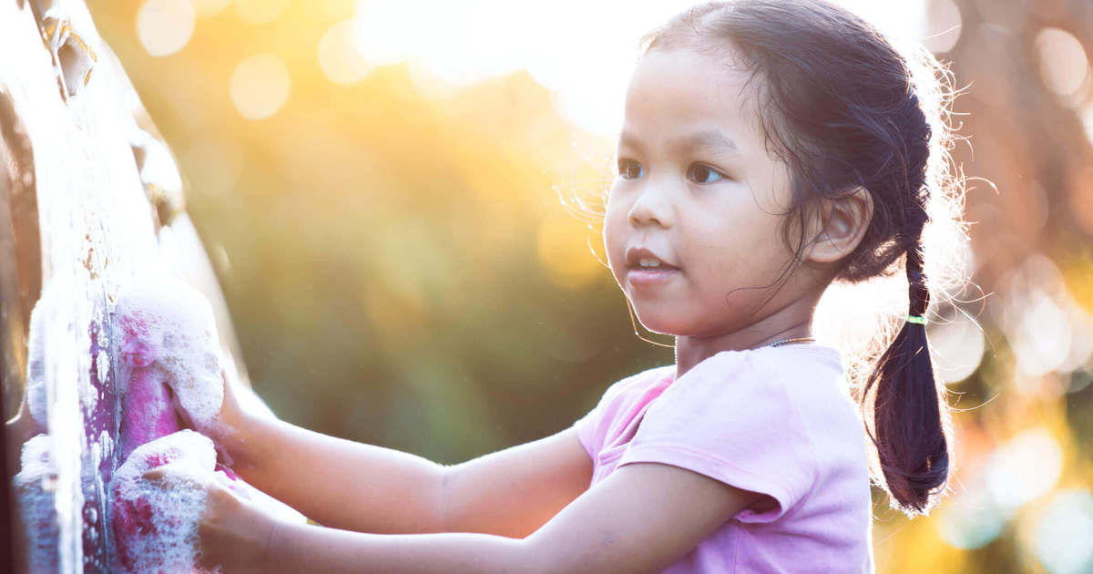 Das Auto reinigen wie ein Profi - Zewa - Zewa