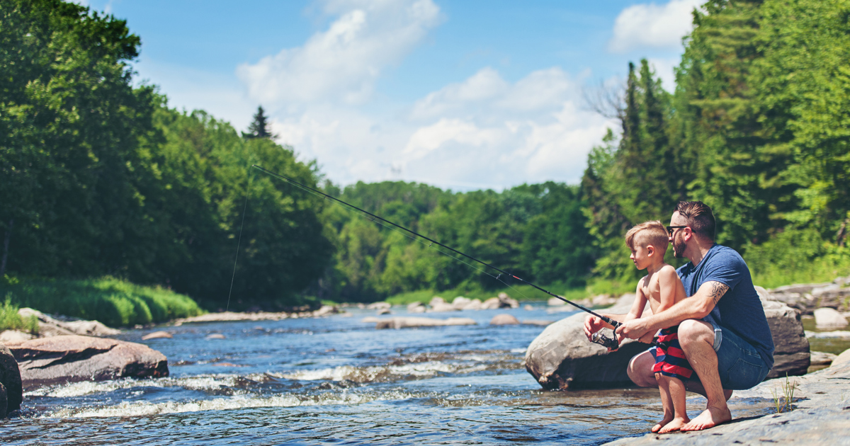 Hârtia igienică umedă este dizolvabilă și biodegradabilă? - Zewa
