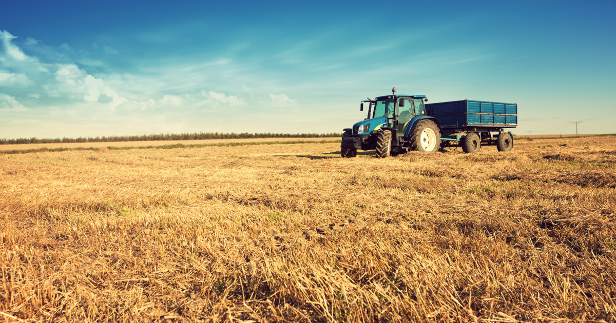 Wie Stroh nutzen helfen kann, Ressourcen zu schonen - Zewa