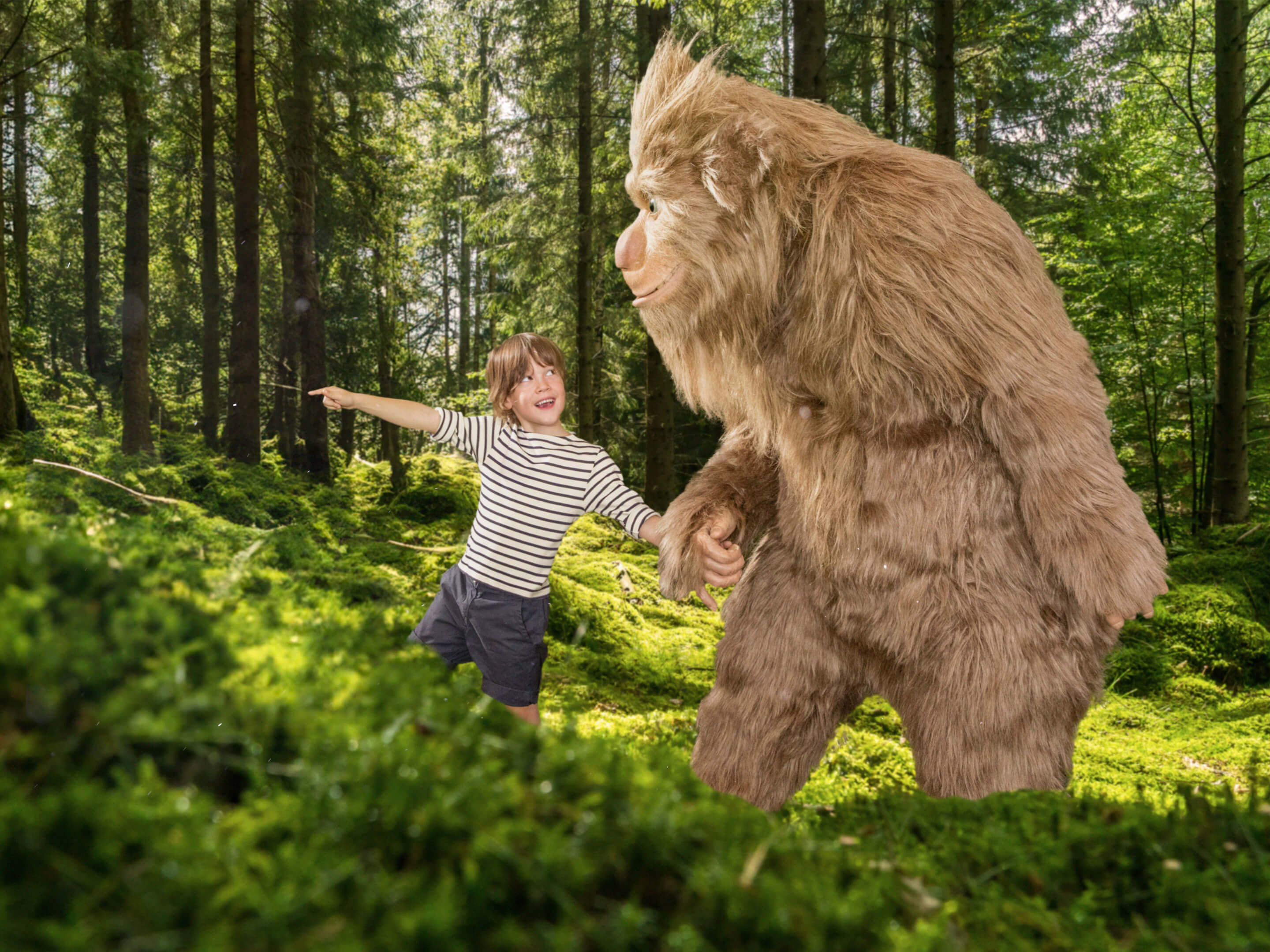 Χαρτί Υγείας, Χαρτί Κουζίνας, Χαρτομάντιλα και οι Συμβουλές μας - Zewa