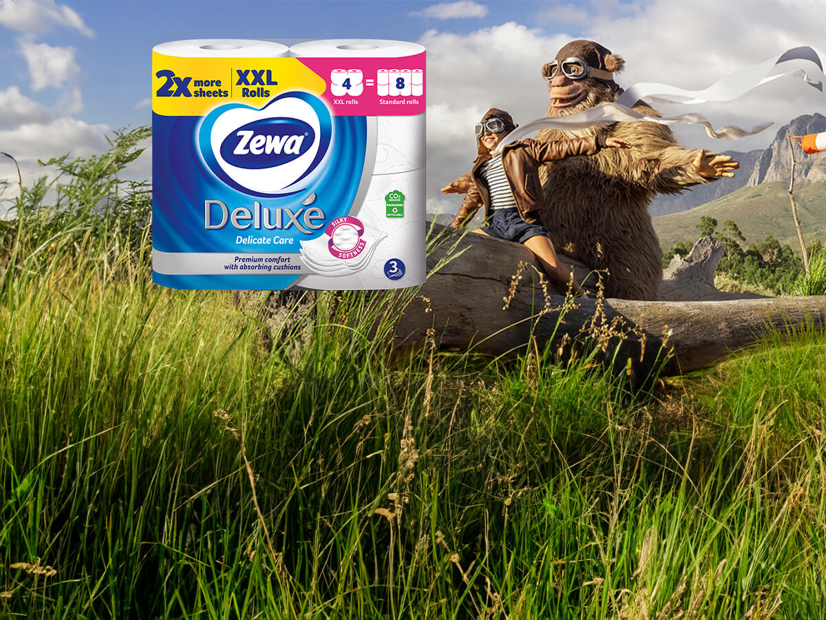 Sfaturi pentru curățenie în casă și igienă personală - Zewa